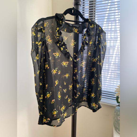 Zara | Tops | Zara Sheer Ruffle Top | Poshmark